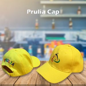 PRULIA | Dolemon Sdn. Bhd.